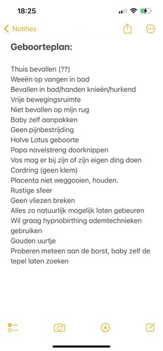 Geboorteplan / Bevalplan 👶🏼 | 1 | 24baby Forum