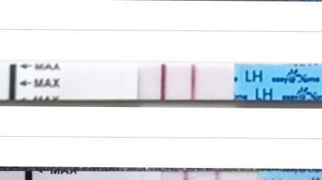 Spanning: ovulatie test, innesteling bloeding? | afscheiding | 1 ...