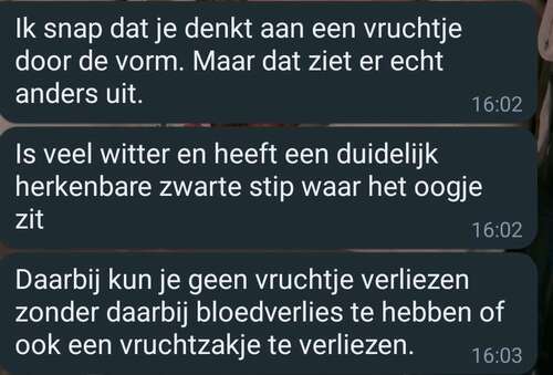 Is dit een miskraam ( FOTO) | miskraam | 1 | 24baby Forum