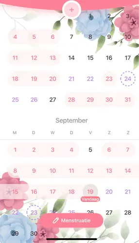 Cyclus na miskraam | 1 | 24baby Forum